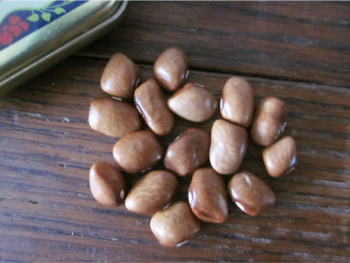 Frank Barnett Cutshort - Nana's Naturals Heritage Seeds