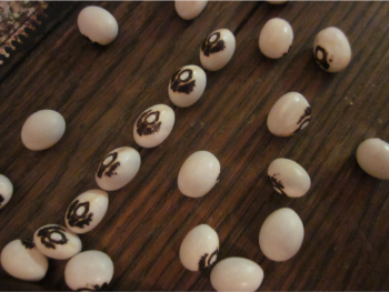 Holy - Nana's Naturals Heritage Seeds