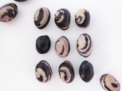 Kaimame - Nana's Naturals Heritage Seeds