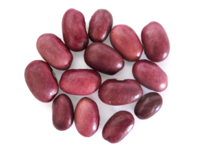 Taisho Kintoki - Nana's Naturals Heritage Seeds